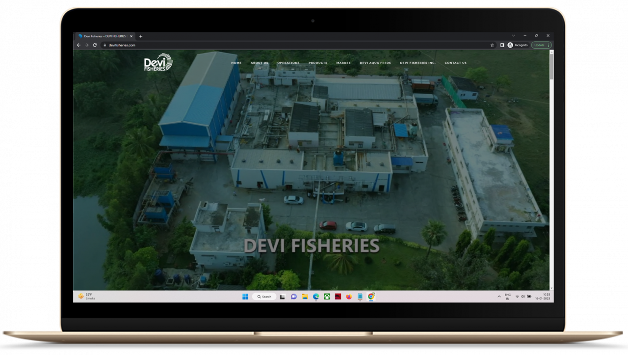 Website Design Services in India | Company | Logopie